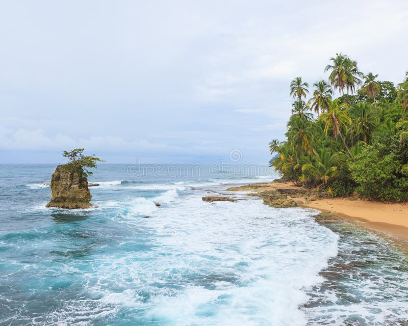 Idyllic Beach Manzanillo Costa Rica Stock Photo - Image of beach, ocean ...