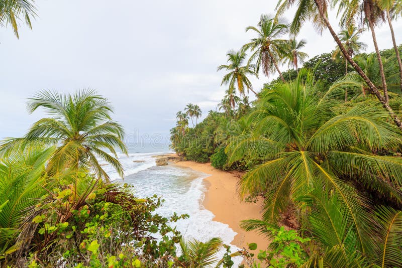 Idyllic Beach Manzanillo Costa Rica Stock Photo - Image of landscape ...