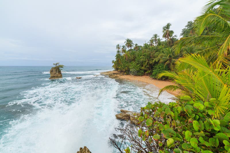 Idyllic Beach Manzanillo Costa Rica Stock Image - Image of coast, lush ...