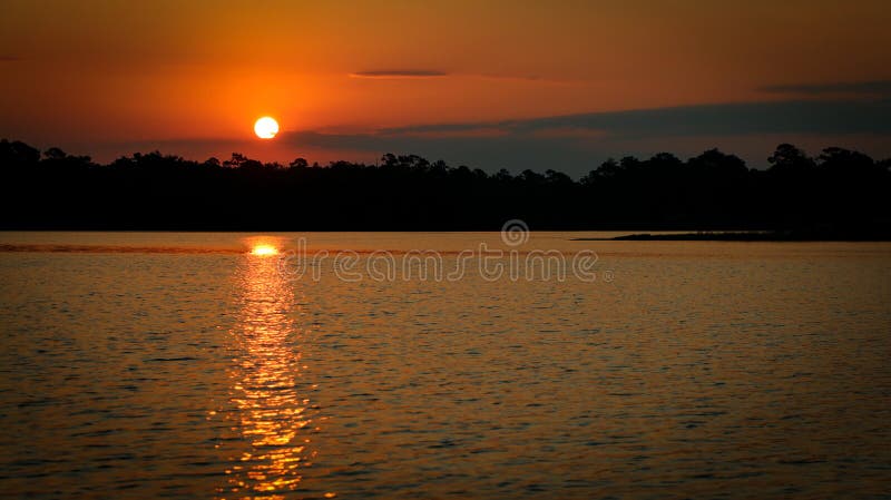 Idyllic Beach Scene Featuring Several Palm Trees on a Sunny Day Stock ...
