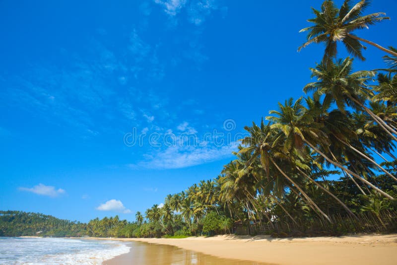 Idyllic beach. Sri Lanka stock image. Image of recreation - 13328369