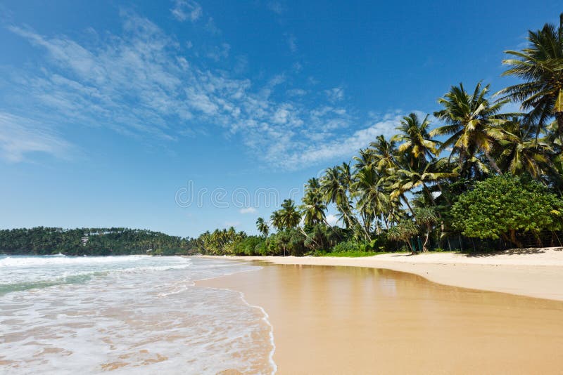 Idyllic beach. Sri Lanka stock image. Image of recreation - 13328369