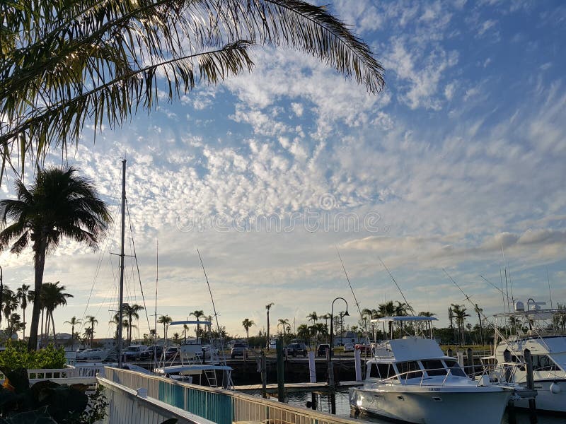 Idyllic Beachfront in Lucaya with Palm Trees and Modern Architecture ...