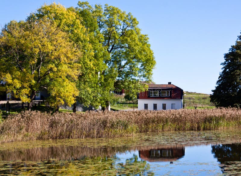 Idyllic cottage. stock photo. Image of forest, idyllic - 21571366