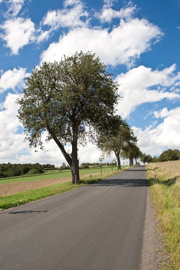 Idyllic country road stock image. Image of alley, blue - 14348037