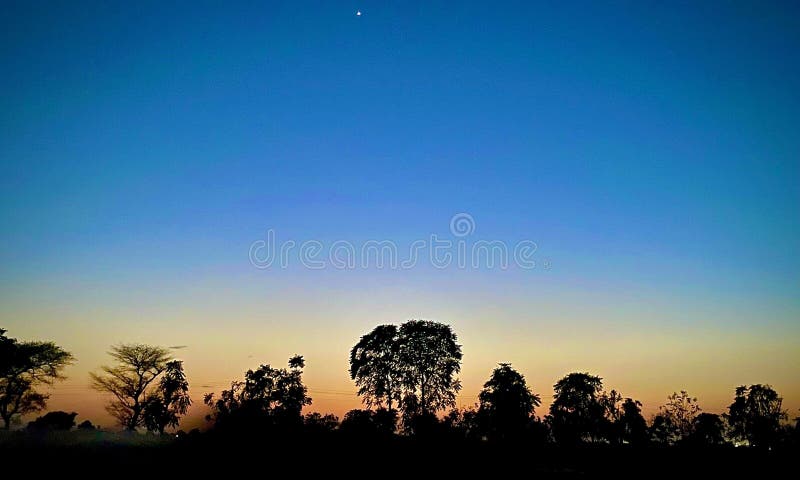 An Early Evening View with Trees and the Moon in the Sky Stock Photo ...