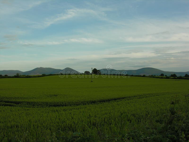 Idyllic farm land. stock photo. Image of care, farm, area - 44373940