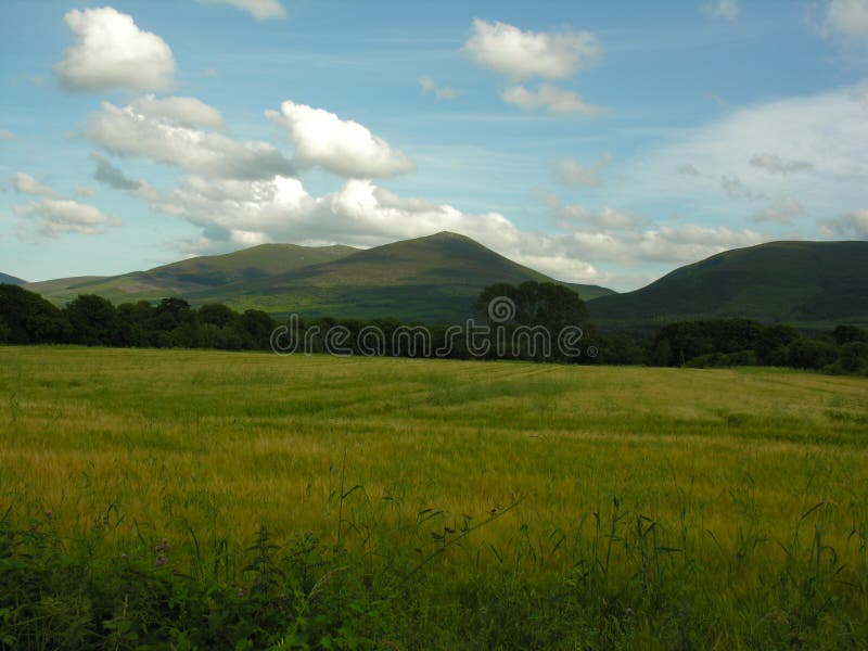 Idyllic farm land. stock photo. Image of dramatic, grassland - 44374450
