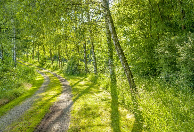 Idyllic field path stock image. Image of farmland, agricultural - 109450055