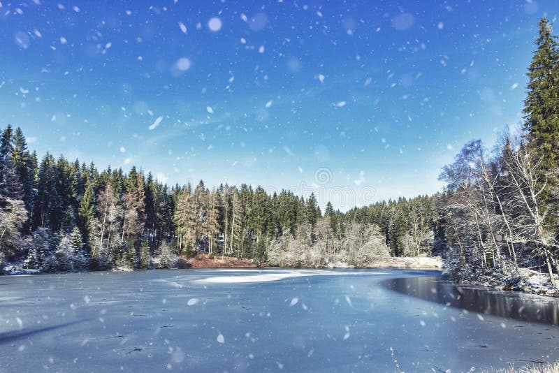 An Idyllic Forest Lake in Winter Stock Image - Image of country, flora ...