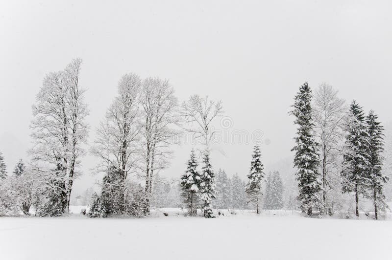 Idyllic winter landscape stock photo. Image of mist - 104615760