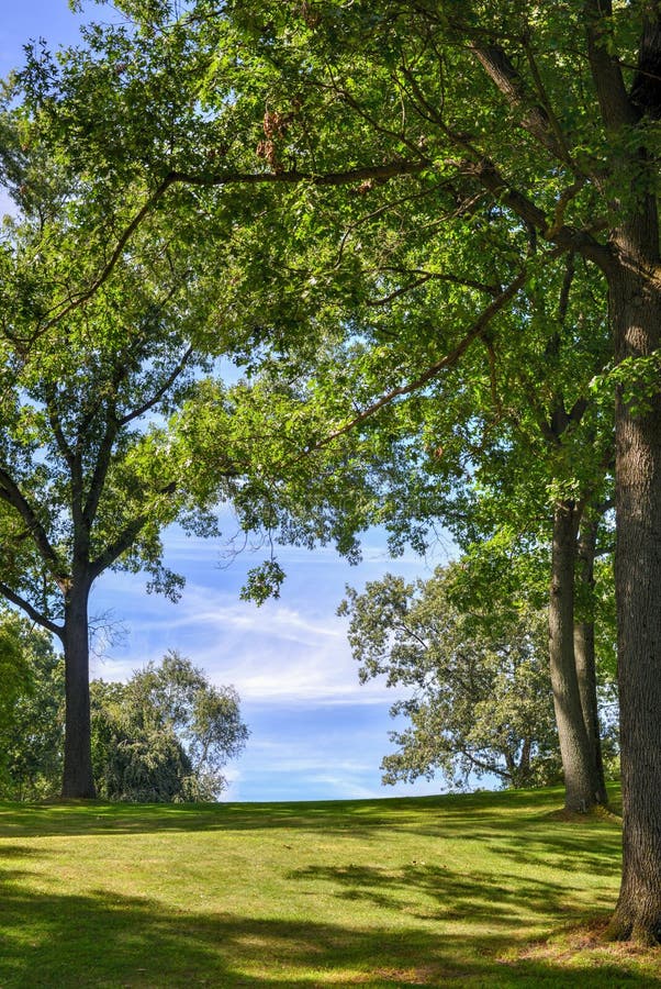 The Idyllic Forest Path in the Morning Stock Image - Image of adventure ...