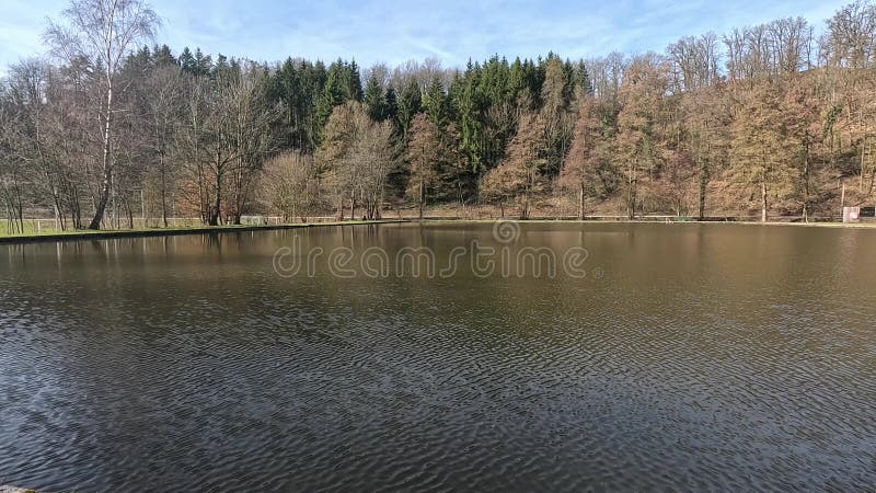 Idyllic Forest Pool, Surrounded by Dense Trees Stock Video - Video of ...