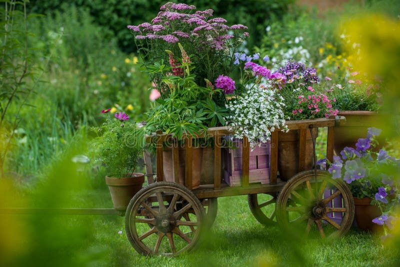 Idyllic garden stock photo. Image of watering, green - 32238788