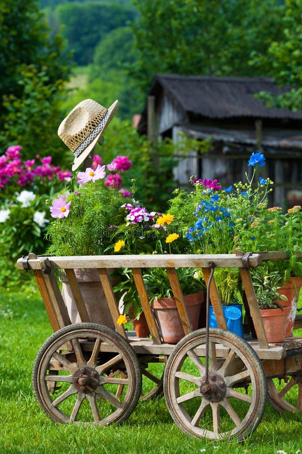 Idyllic garden stock image. Image of plant, flowers, idyll - 31636979