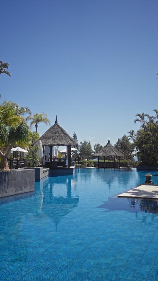 An Idyllic Infinity Pool Bordered by Tropical Cabanas and Palms Under a ...