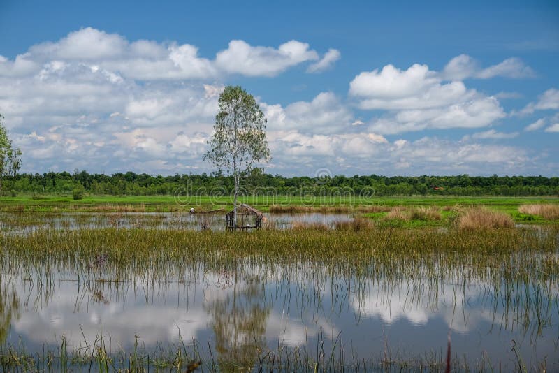 Idyllic Lake with Reflections of Clouds Stock Photo - Image of ...
