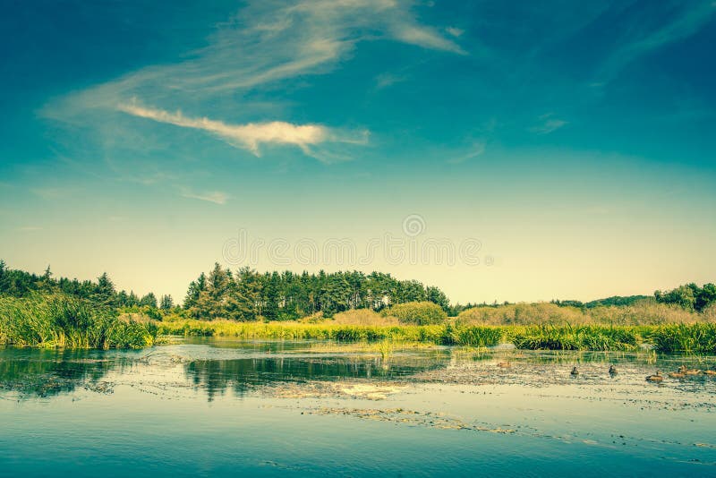 Idyllic lake stock photo. Image of landscape, nature - 43560382