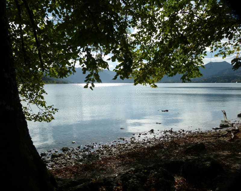 299 Tree Overhanging Lake Stock Photos - Free & Royalty-Free Stock ...