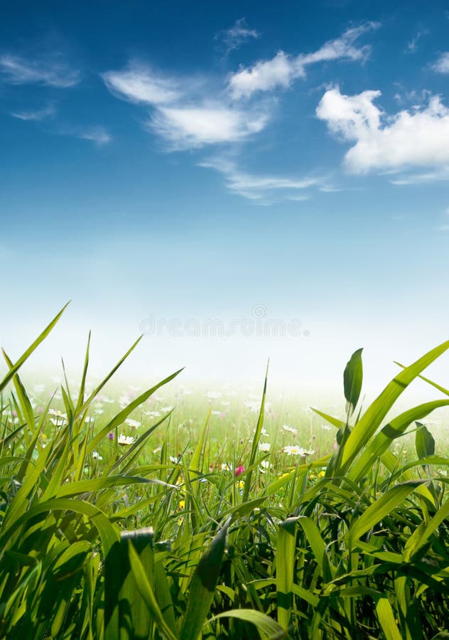 Idyllic landscape stock photo. Image of flowers, idyllic - 12280668