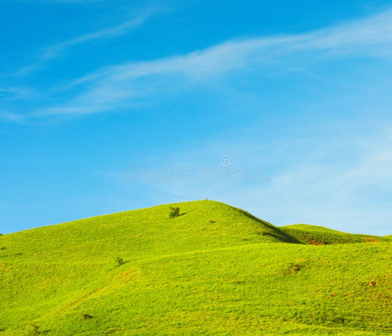 Idyllic landscape stock photo. Image of lawn, plant, green - 15071138