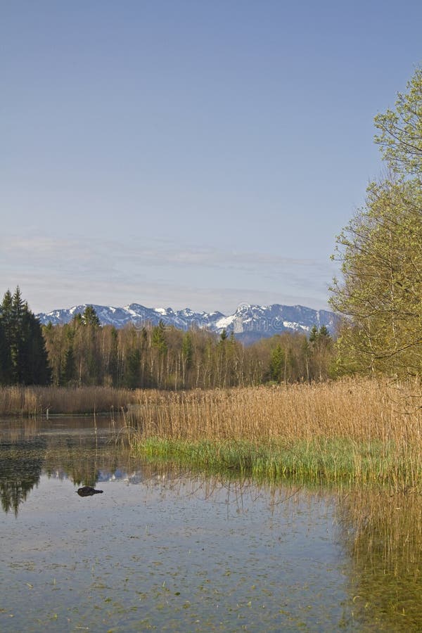 Idyllic landscape stock image. Image of morning, mountains - 20113219
