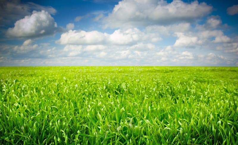 Idyllic landscape stock image. Image of lawn, rural, conservation ...