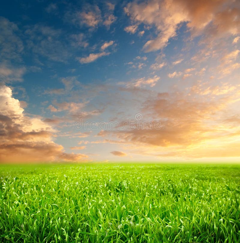 Idyllic landscape stock photo. Image of conservation - 23128328