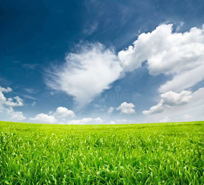 Idyllic landscape stock image. Image of meadow, season - 8579475