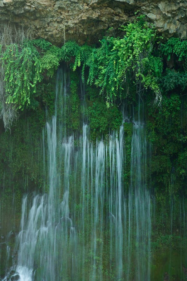 Idyllic Landscape Featuring a Small Cascading Waterfall in Natural ...