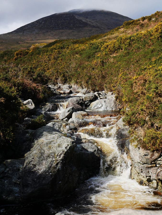 Idyllic Landscape Featuring a Tranquil Mountain Stream Surrounded by ...