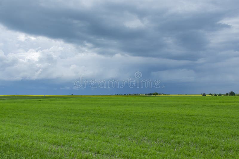 Idyllic Landscape Field of Grass and Dramatic Clouds Stock Photo ...