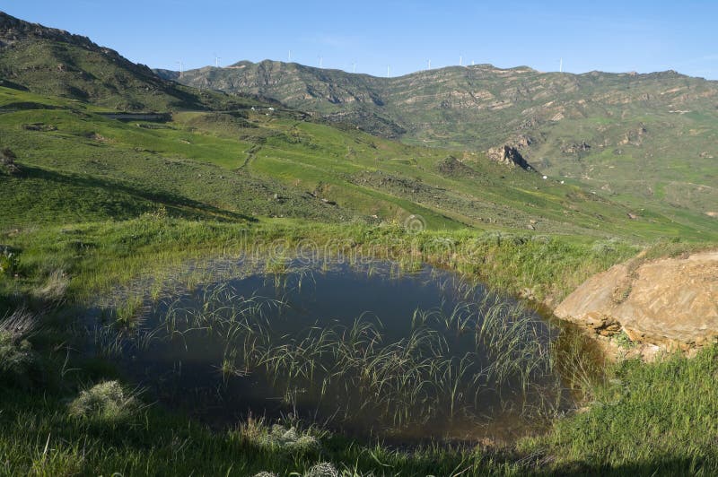 Idyllic Landscape with Marshy Pond Stock Photo - Image of prairie ...