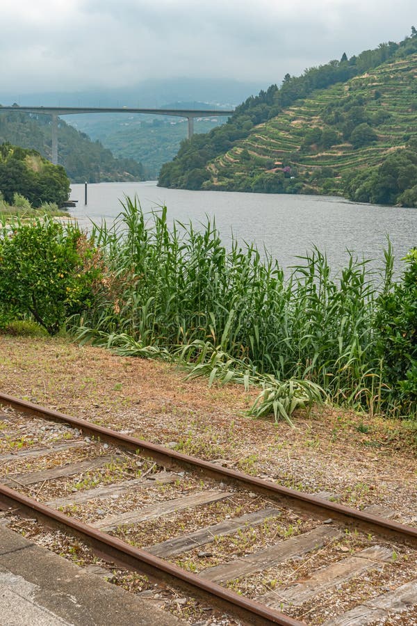 Idyllic Landscape of Old Train Line beside the Douro River Stock Image ...
