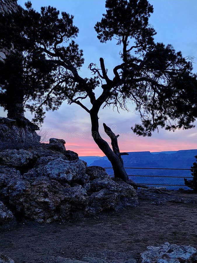 Idyllic Landscape of a Single Tree Growing on the Edge of a Cliff Stock ...