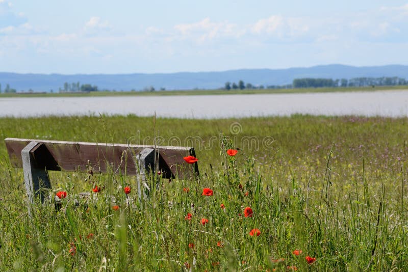 Idyllic Landscape in Spring Stock Photo - Image of bench, agrarian ...