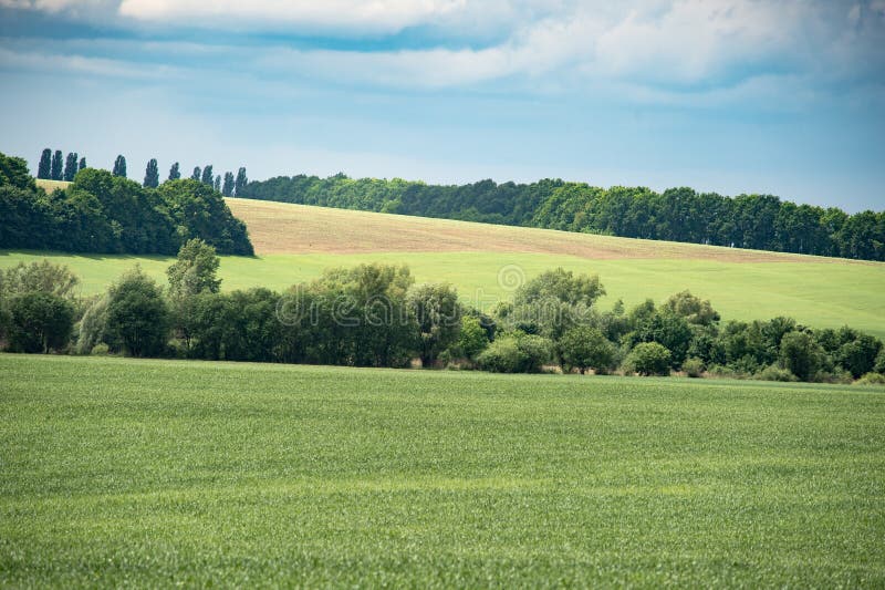 Idyllic Landscape of a Wheat Field with a Blue Cloudy Sky Stock Image ...