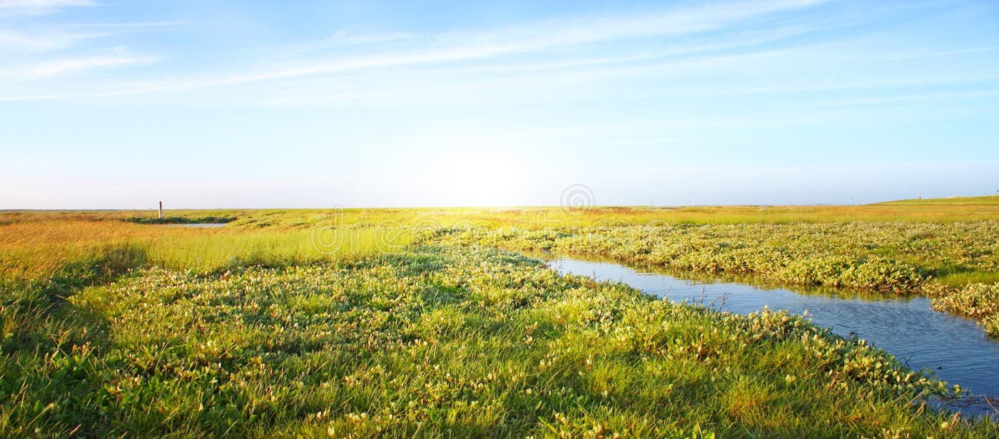 3,128 Field Stream Panoramic Stock Photos - Free & Royalty-Free Stock ...