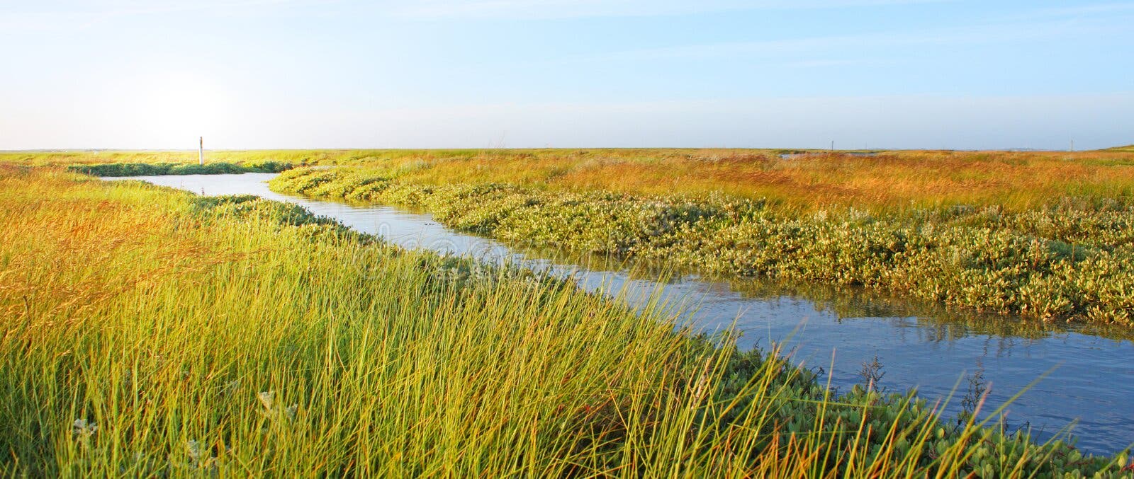 Danish bog land stock image. Image of blue, holidays - 13736035