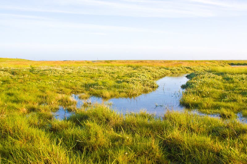 Idyllic lawn with stream stock photo. Image of country - 11327248