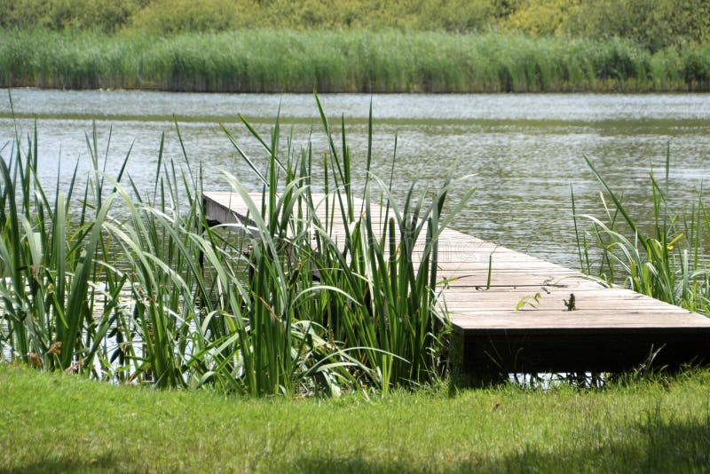 Idyllic Location beside a Lake Stock Photo - Image of shore ...