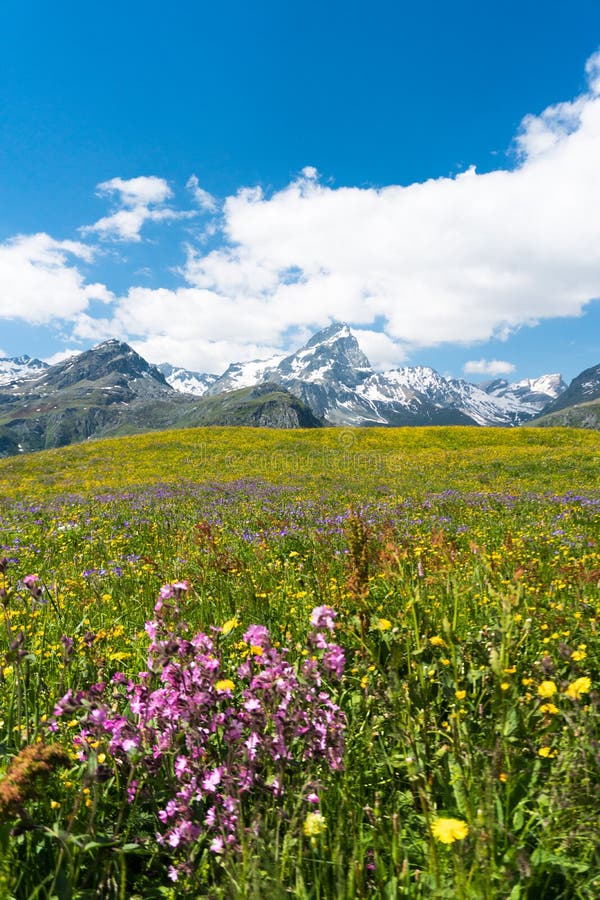 Idyllic Mountain Landscape in the Summertime Stock Image - Image of ...