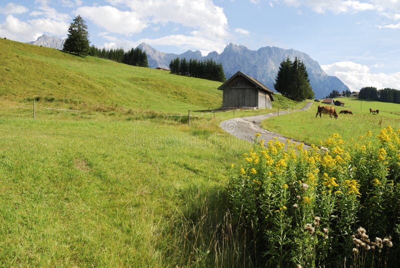 Idyllic mountains stock photo. Image of flowers, alpine - 22076304