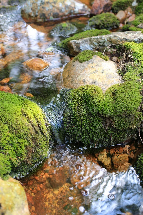 Idyllic nature in Norway stock image. Image of rural - 87848251