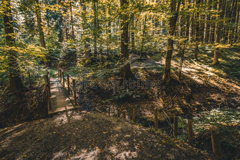 Idyllic Old Bridge in a Forest Stock Image - Image of outlook, mount ...