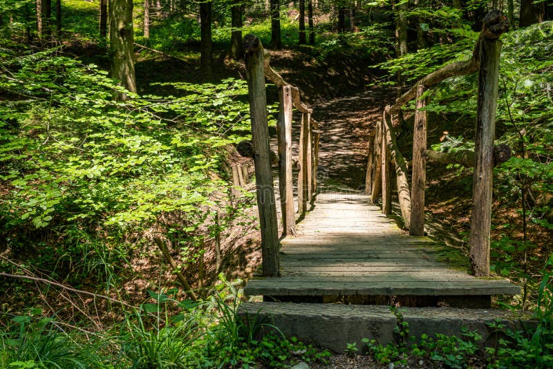 Idyllic Old Bridge in a Forest Stock Photo - Image of bridge, magic ...