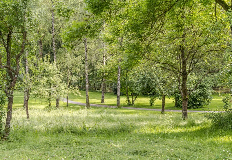 Idyllic park scenery stock image. Image of fresh, flourish - 103014667