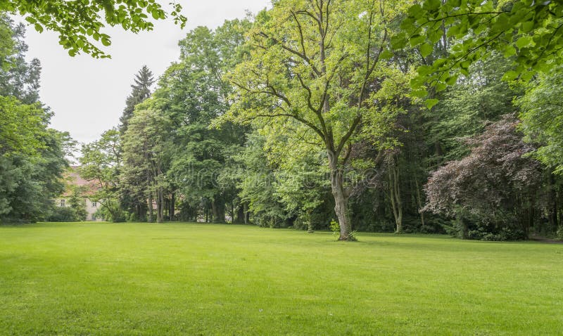 Idyllic park scenery stock photo. Image of idyllic, lovely - 104227204