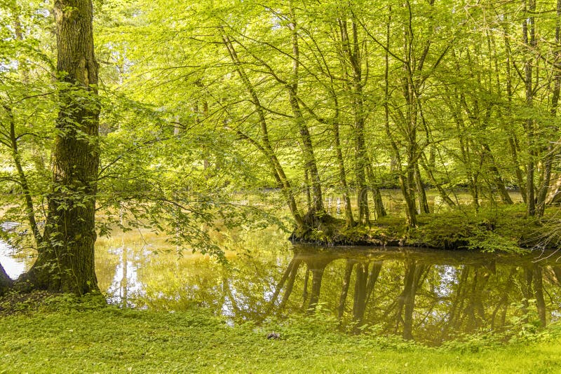 Idyllic park scenery stock photo. Image of grassland - 103154068