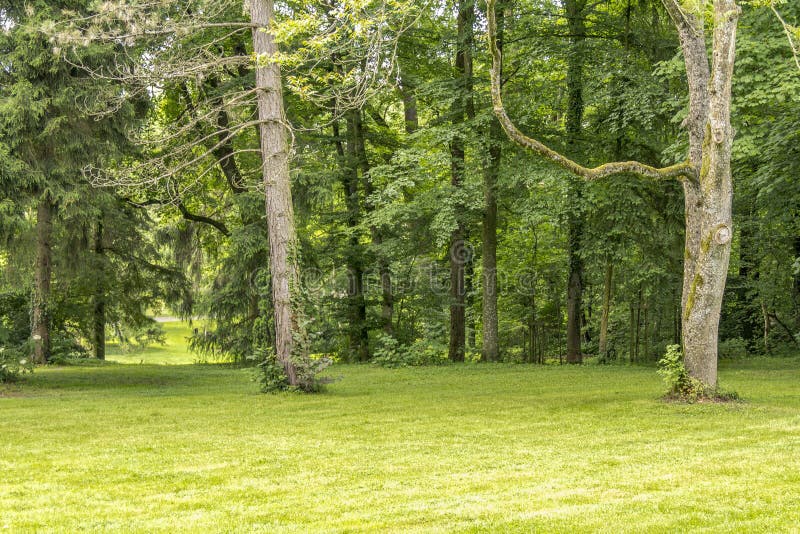 Idyllic park scenery stock image. Image of outdoor, bright - 103277463